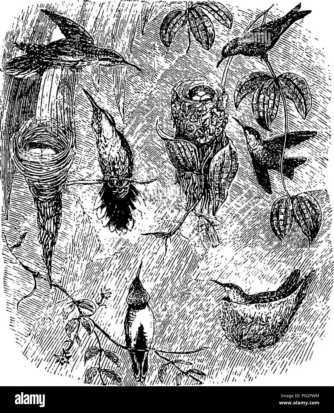 This book describes the habitats of animals, focusing on how various ...