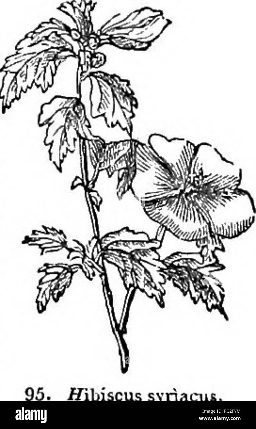 Garden seed catalog Black and White Stock Photos & Images - Alamy