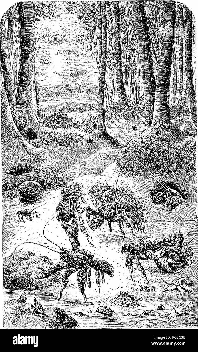 This book describes various animal habitats, classifying them based on ...