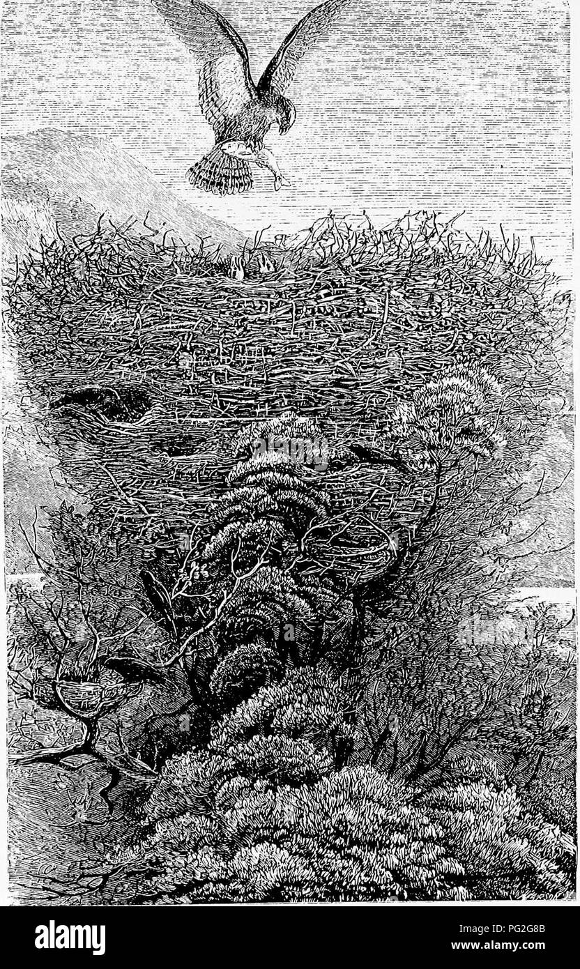 This work describes the various habitats created by animals, classified ...