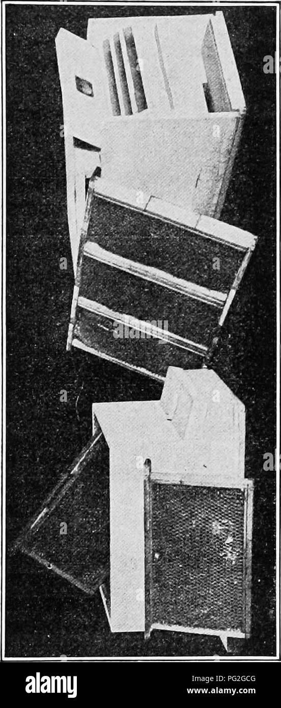 Langstroth frame Black and White Stock Photos & Images - Alamy