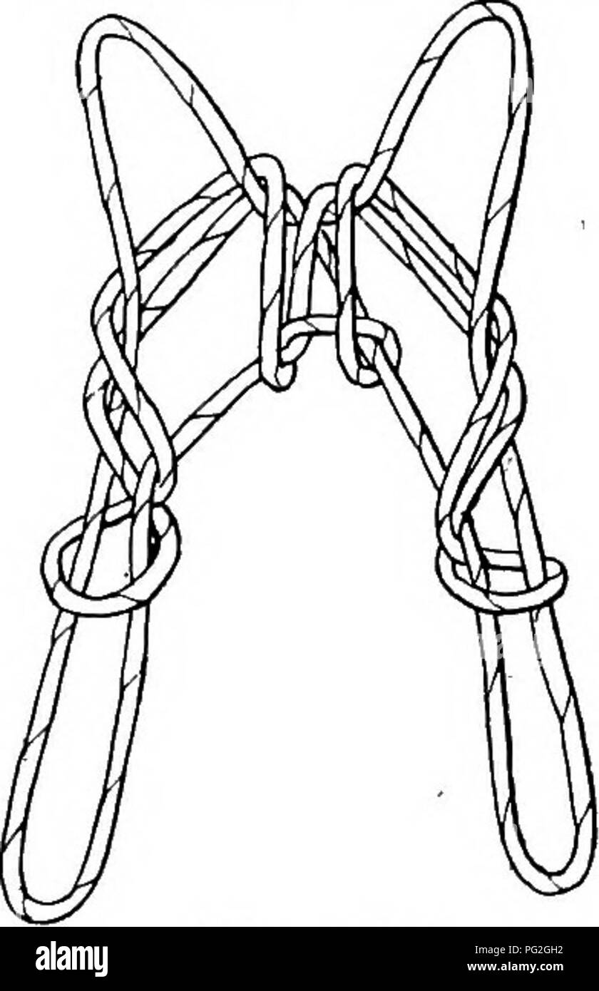 This report documents the scientific activities of the Canadian Arctic ...