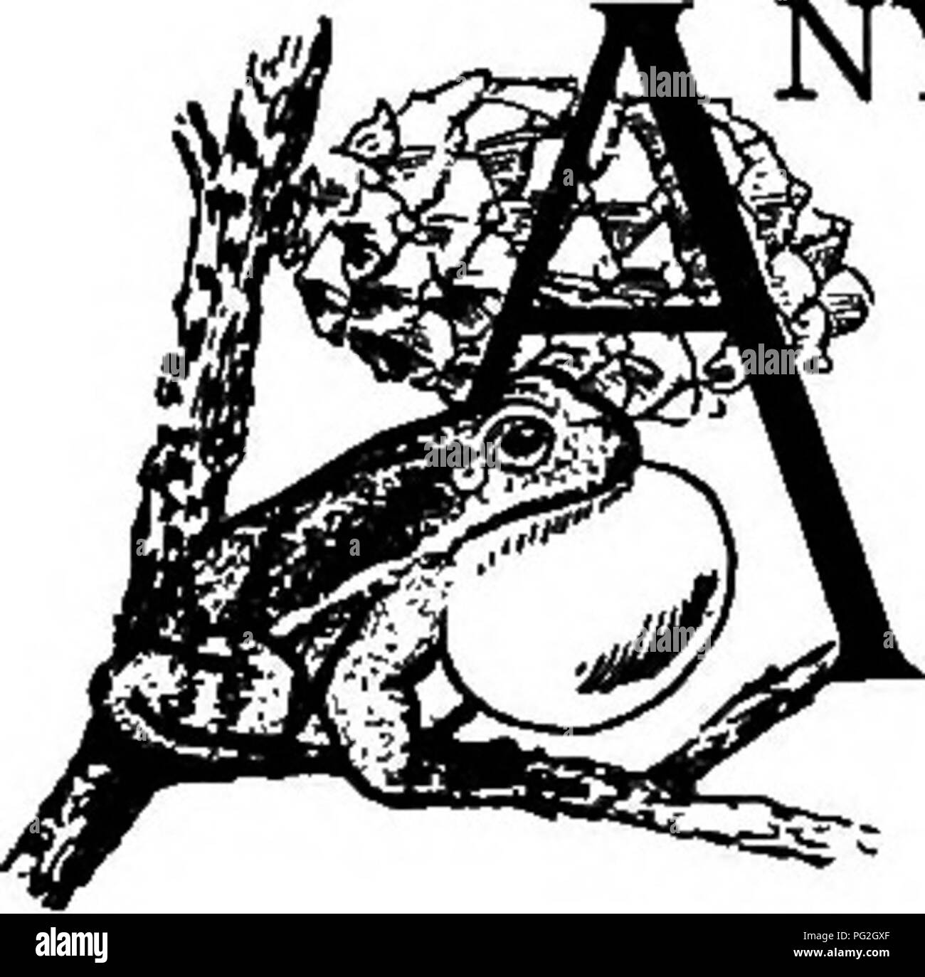 This image focuses on the tree frog (Hyla versicolor), a popular pet ...