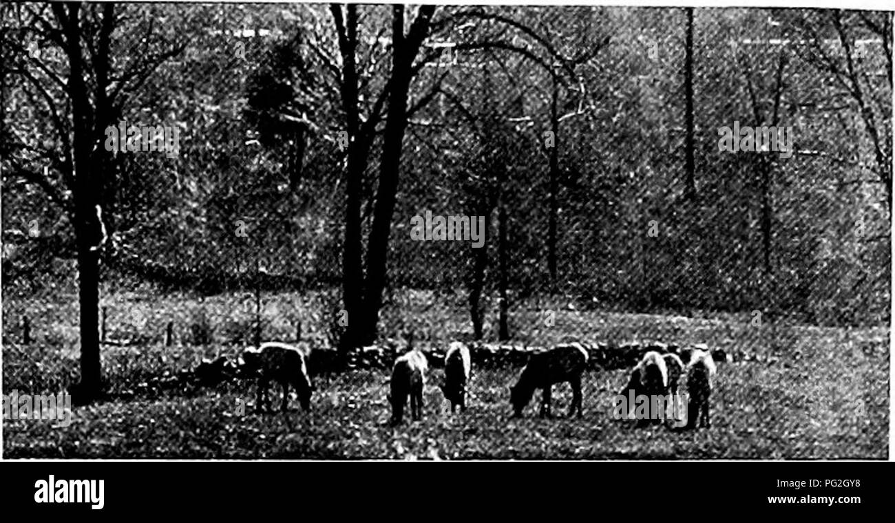 Tourism strategic planning Black and White Stock Photos & Images - Alamy