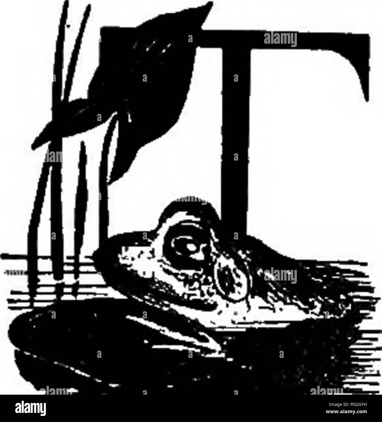 This text provides an overview of frogs, highlighting their differences ...