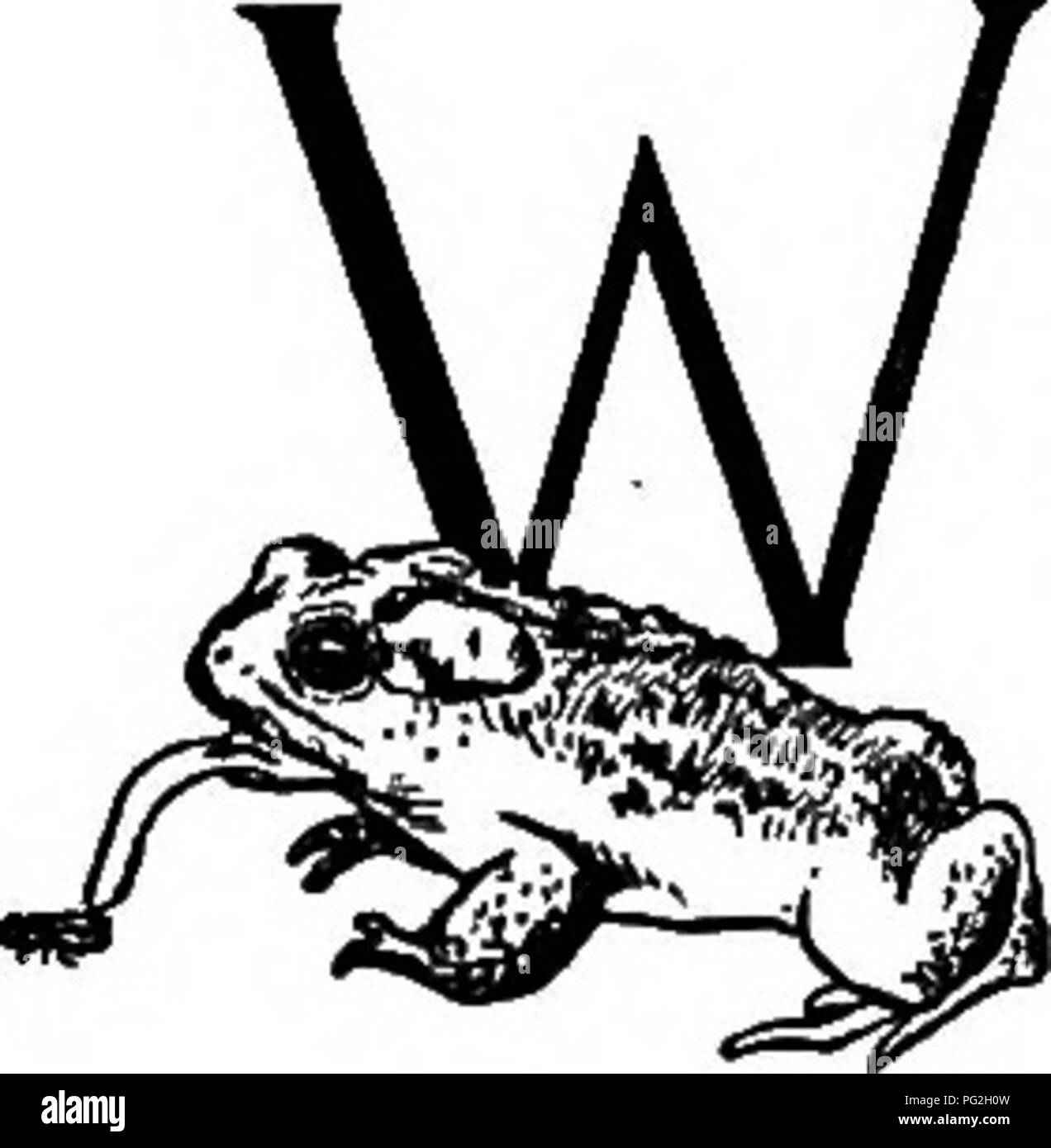 This book provides an insightful look into the care and behavior of pet ...