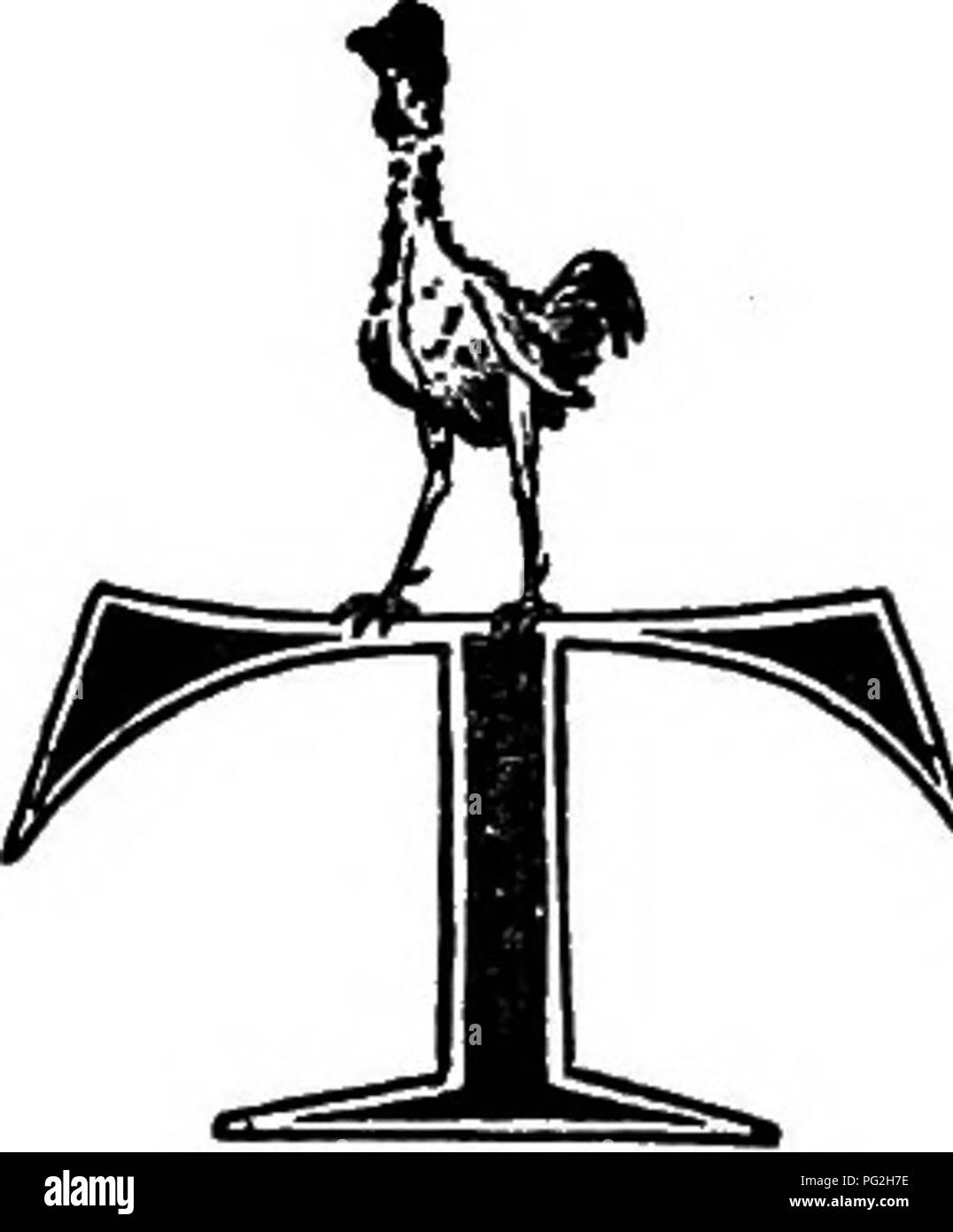 Bantam book hi-res stock photography and images - Alamy