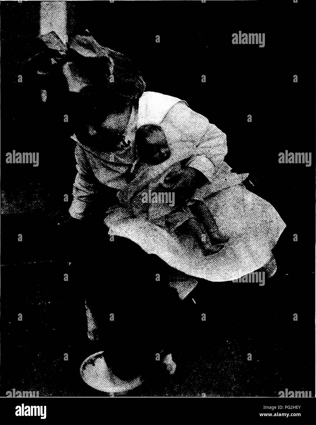 Ithaca kitty hi-res stock photography and images - Alamy