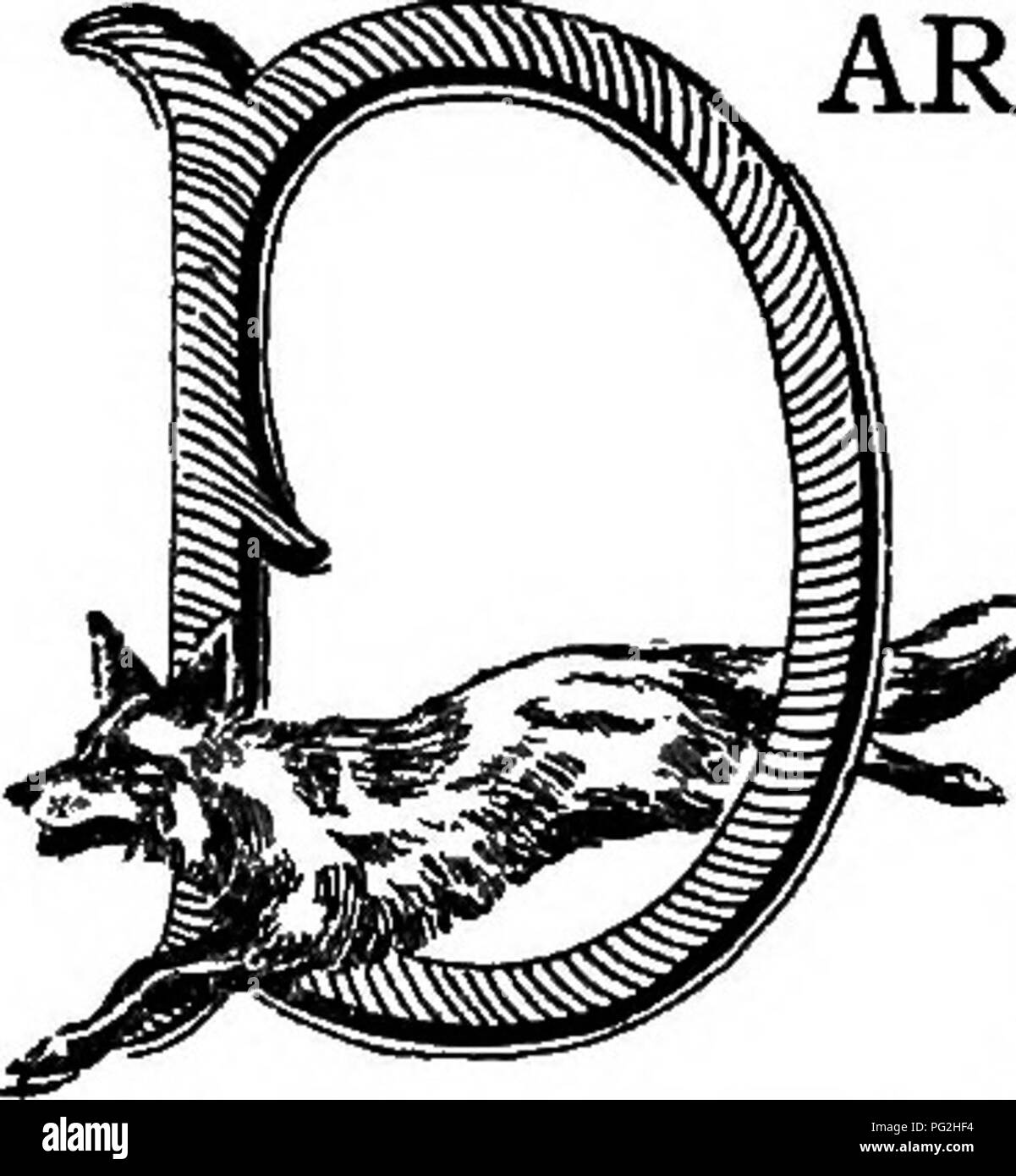 Rascally hi-res stock photography and images - Alamy