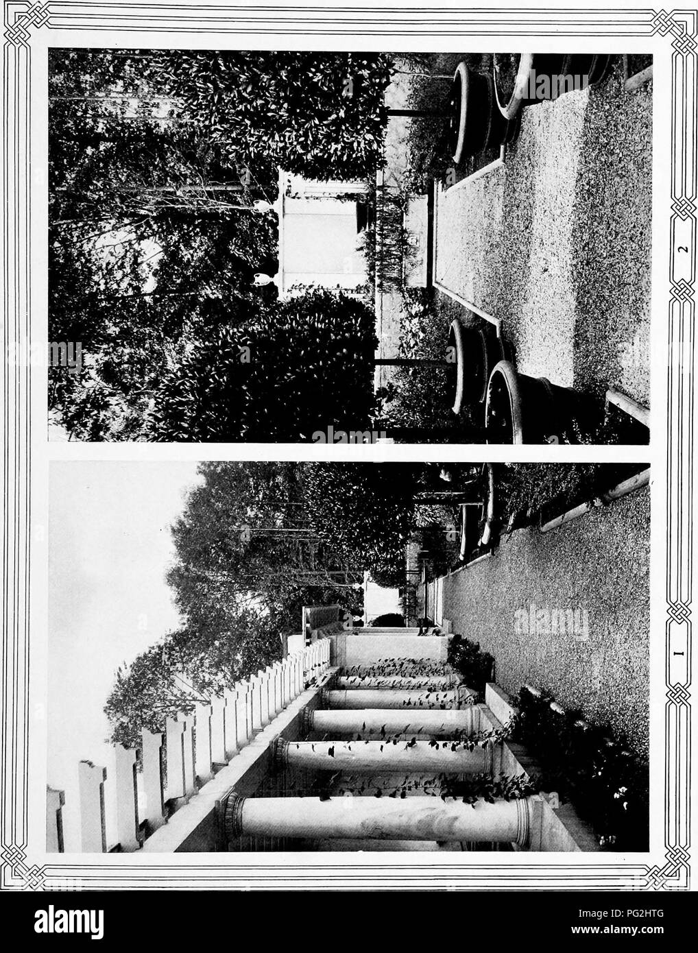 This work explores the history and design principles of American gardens, highlighting various ...