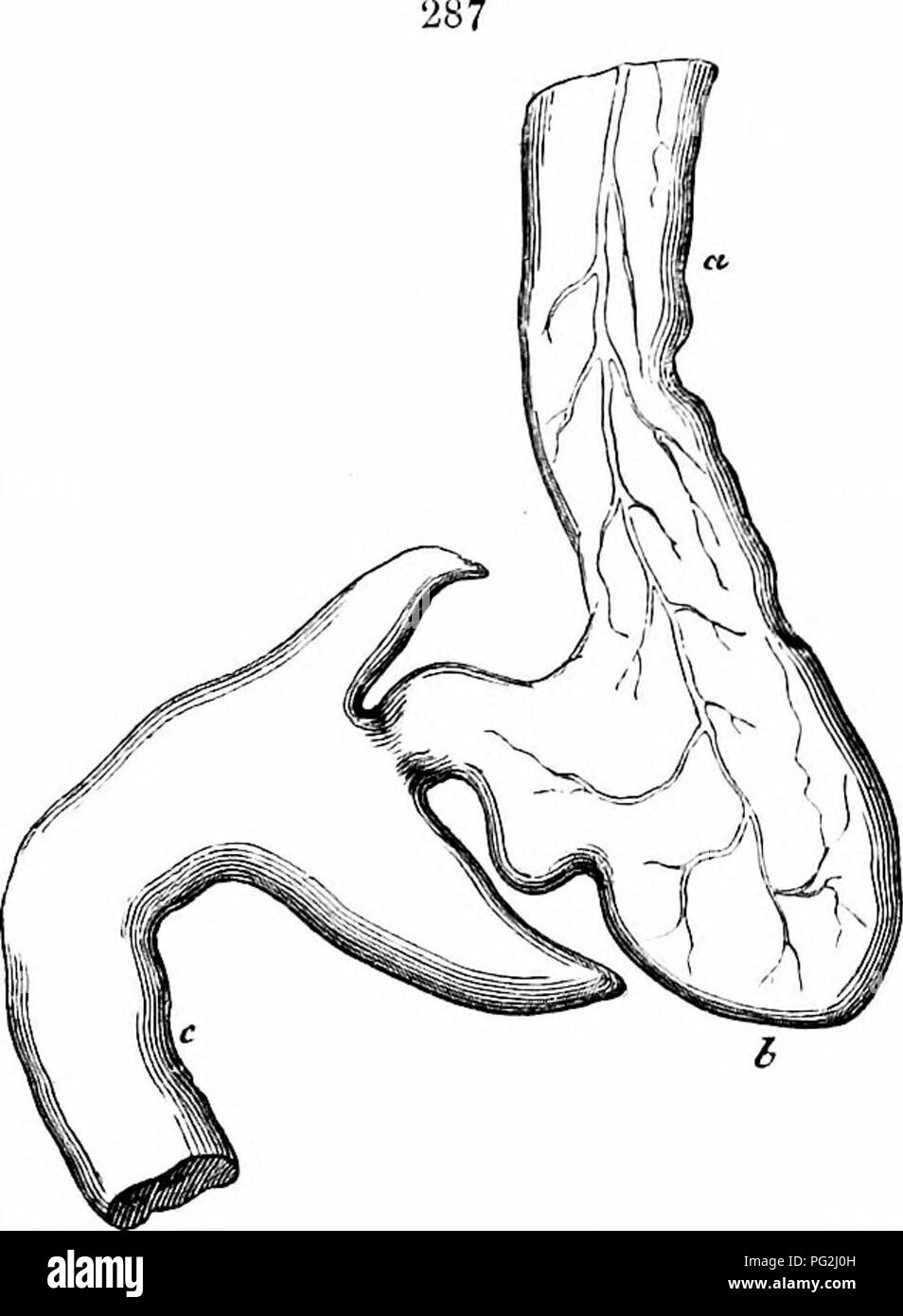 Comparative examples Black and White Stock Photos & Images - Alamy