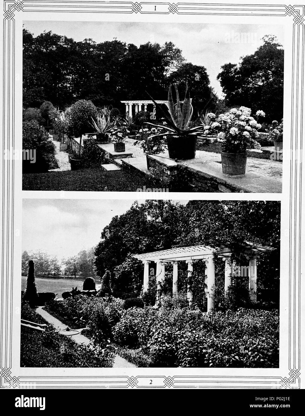 Diverse planting styles hi-res stock photography and images - Alamy