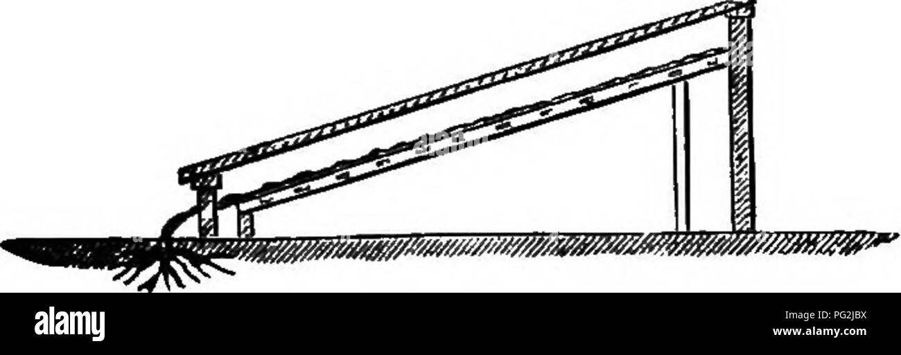 Cordon system pruning hi-res stock photography and images - Alamy