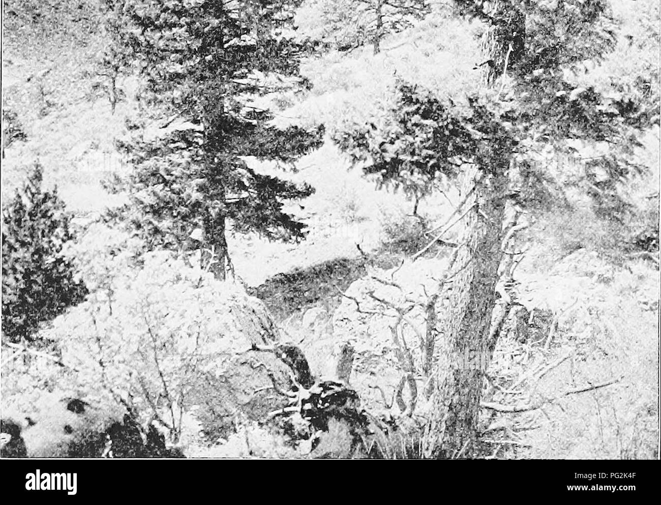 Land features in middle Black and White Stock Photos & Images - Alamy