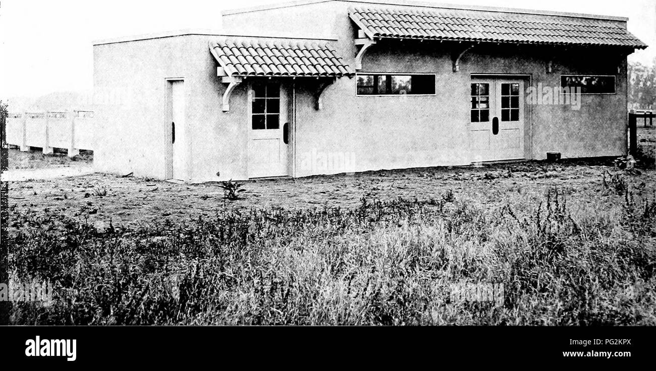 . Private catalogue, 1916 Santa Anita Rancho and Anoakia Breeding Farm ...