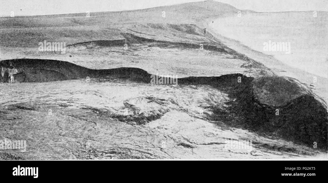 Artificial whale Black and White Stock Photos & Images - Alamy