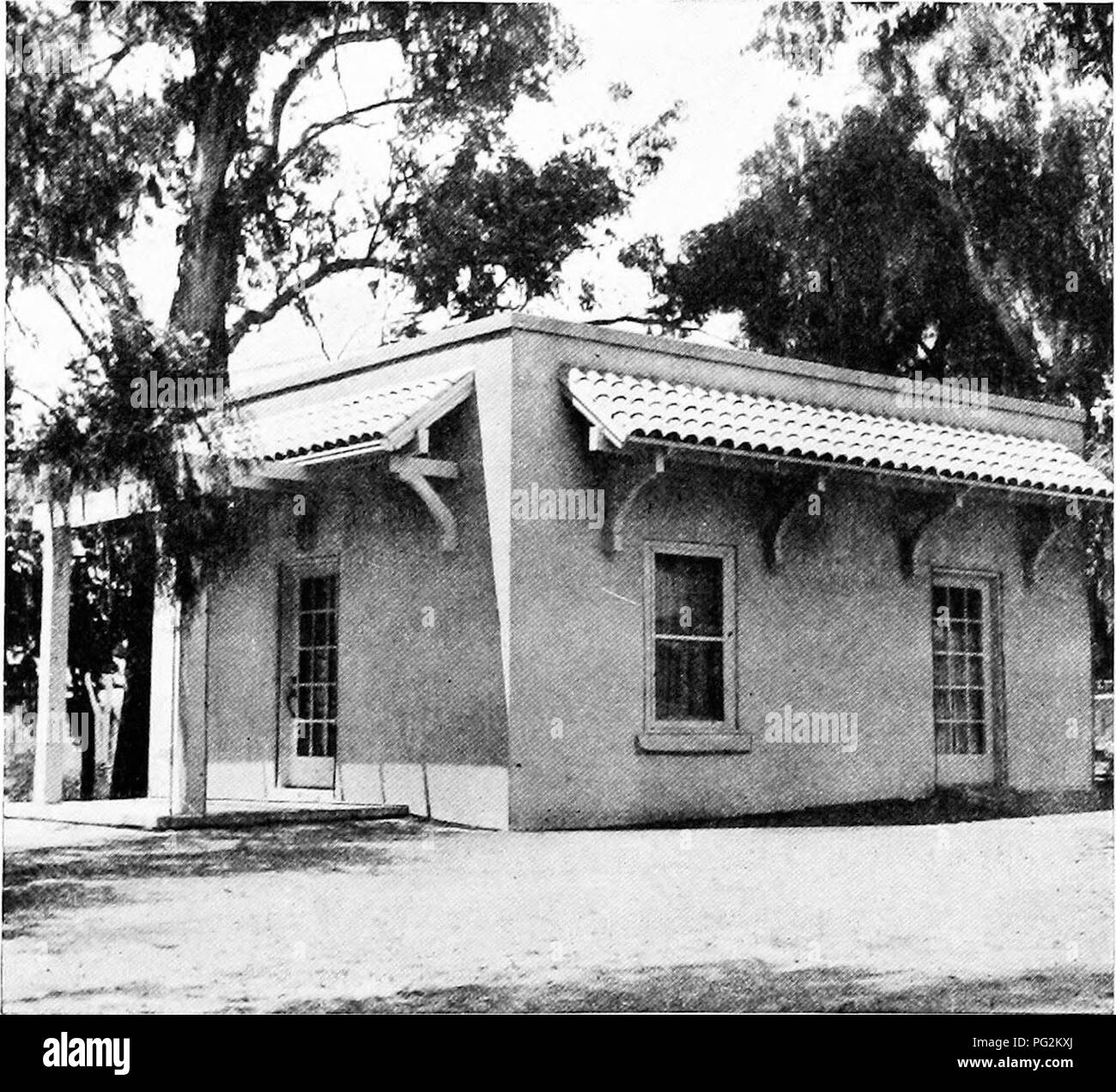 This catalog details the livestock available at the Santa Anita Rancho ...