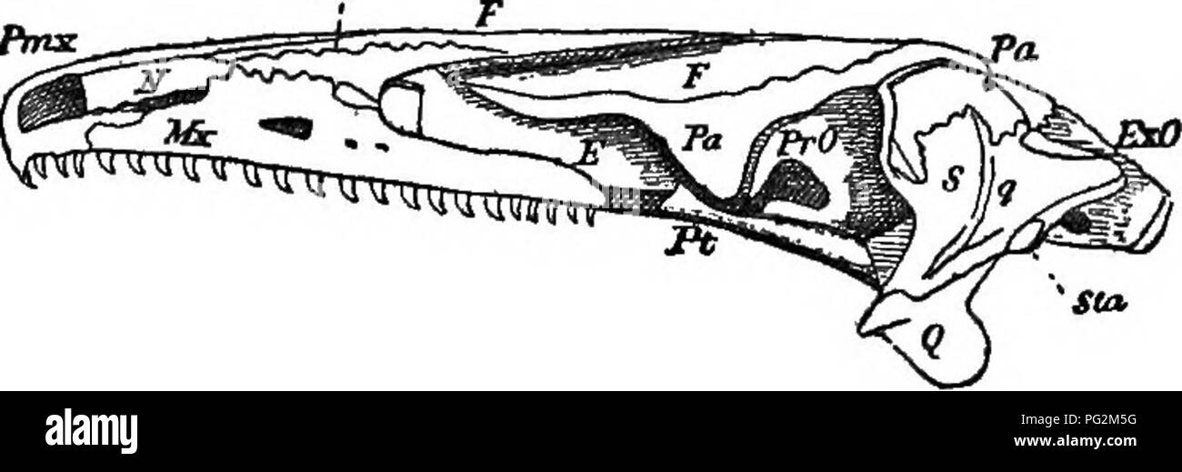 This report from the Geological Survey of Ohio describes various ...