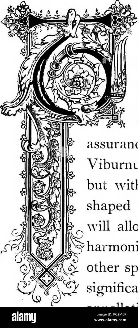 Tion family hi-res stock photography and images - Alamy