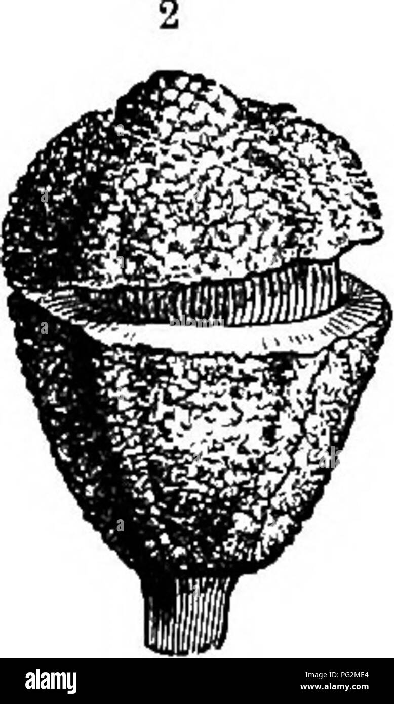 Tubular forms hi-res stock photography and images - Alamy