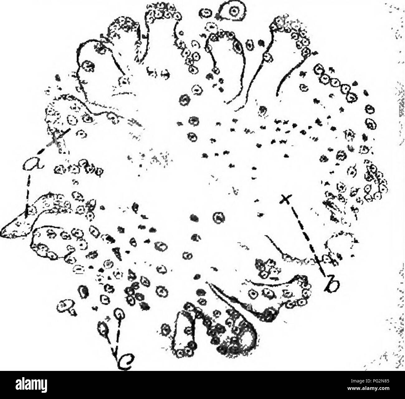 This textbook offers an in-depth analysis of infectious diseases in ...
