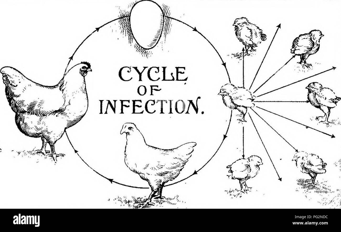 Diarrhea diseases Black and White Stock Photos & Images - Alamy