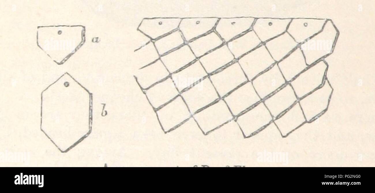 Anglo celt hi-res stock photography and images - Alamy