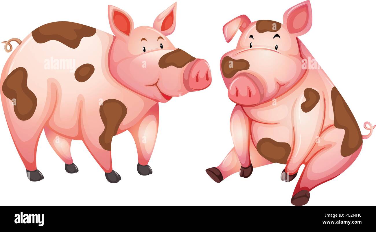 Dirty cute pigs white background illustration Stock Vector Image & Art ...