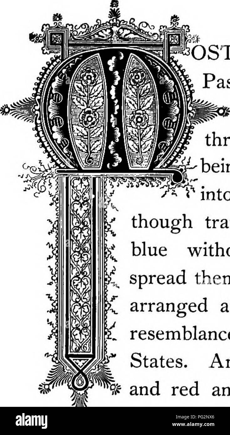 This dictionary of plants highlights more than 300 species, focusing on ...