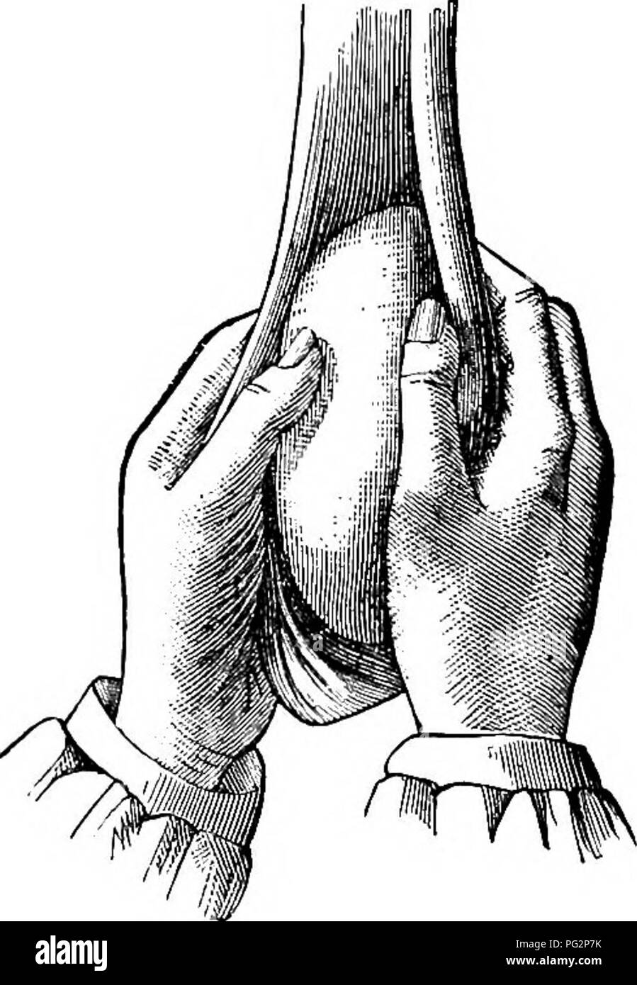 Castration Cut Out Stock Images & Pictures - Alamy