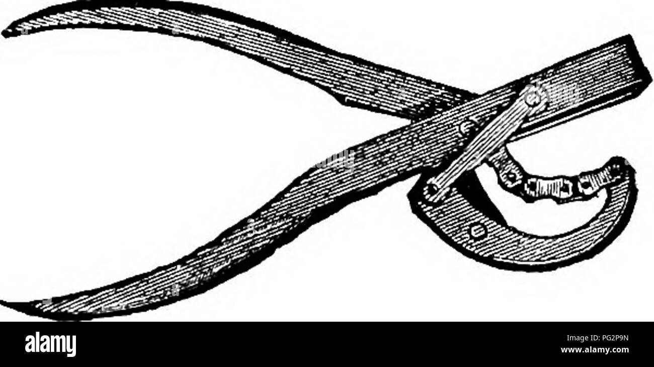 This medical text discusses the process of animal castration, focusing ...