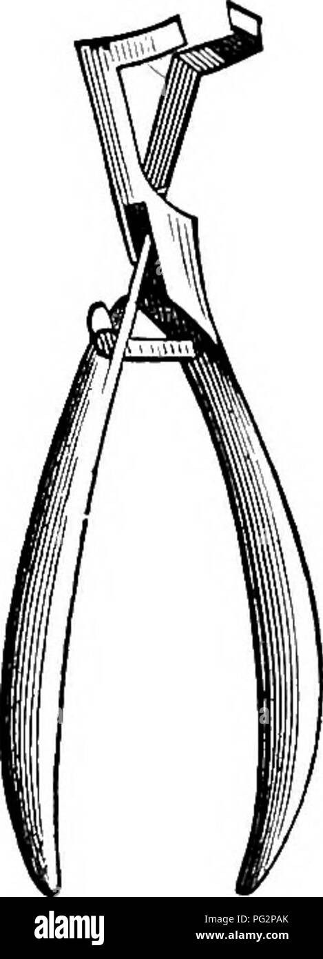 Castration Black and White Stock Photos & Images - Alamy