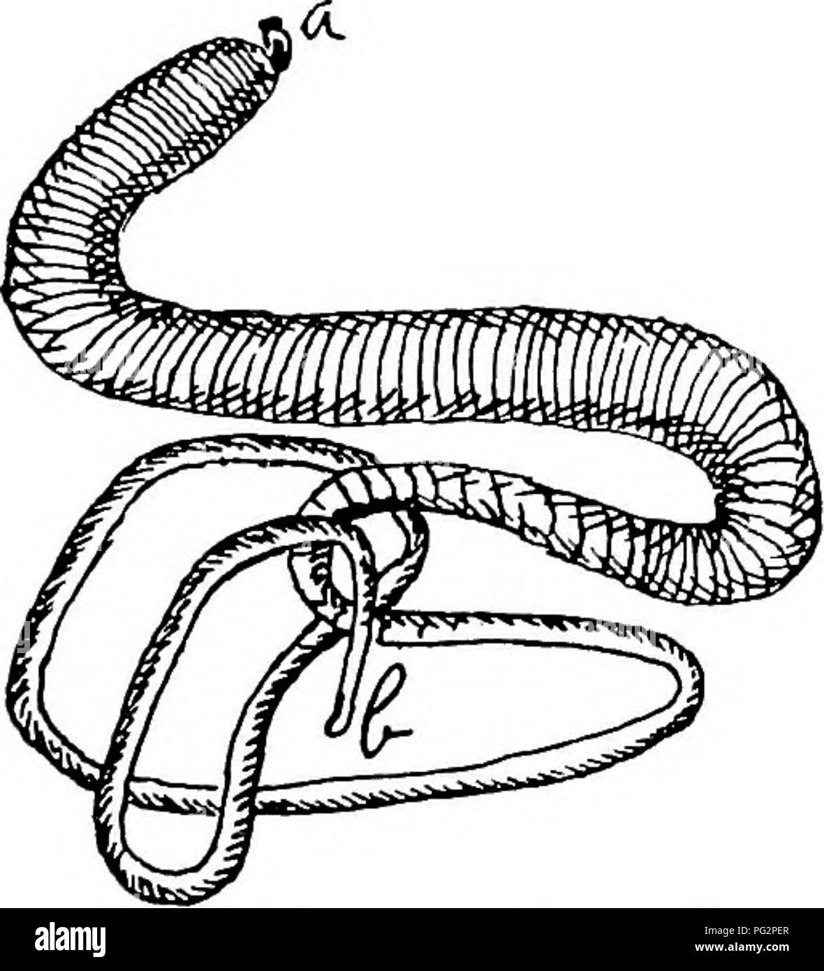 Parasite Prevention Coloring Pages