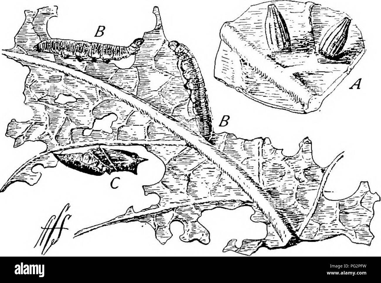 This image focuses on the vegetable industry in New York state ...