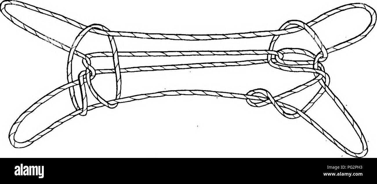 . Report of the Canadian Arctic Expedition 1913-18. Scientific ...