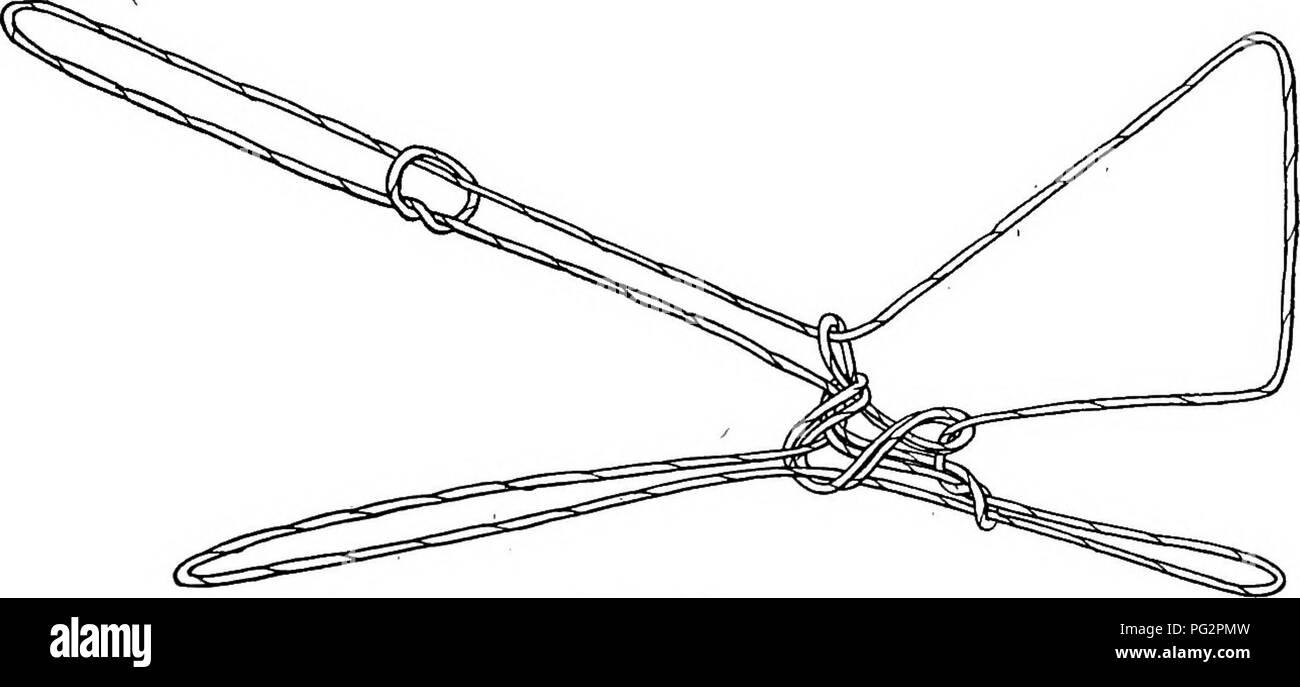 This report details the Canadian Arctic Expedition (1913-1918 ...