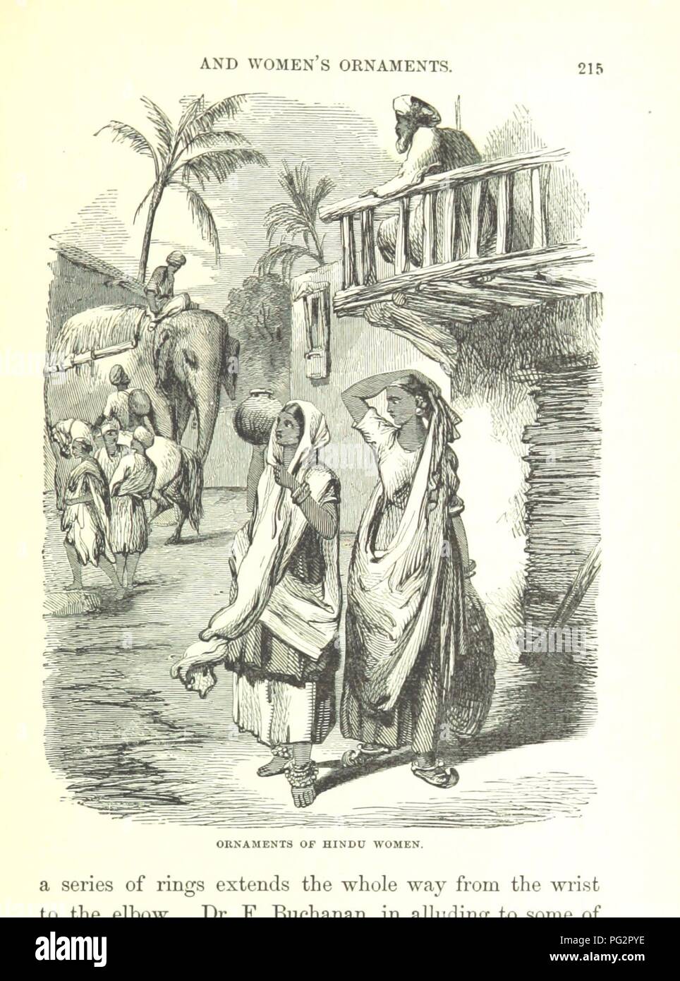 Image from page 219 of 'The Indian Mirror; or, illustrations of Bible ...