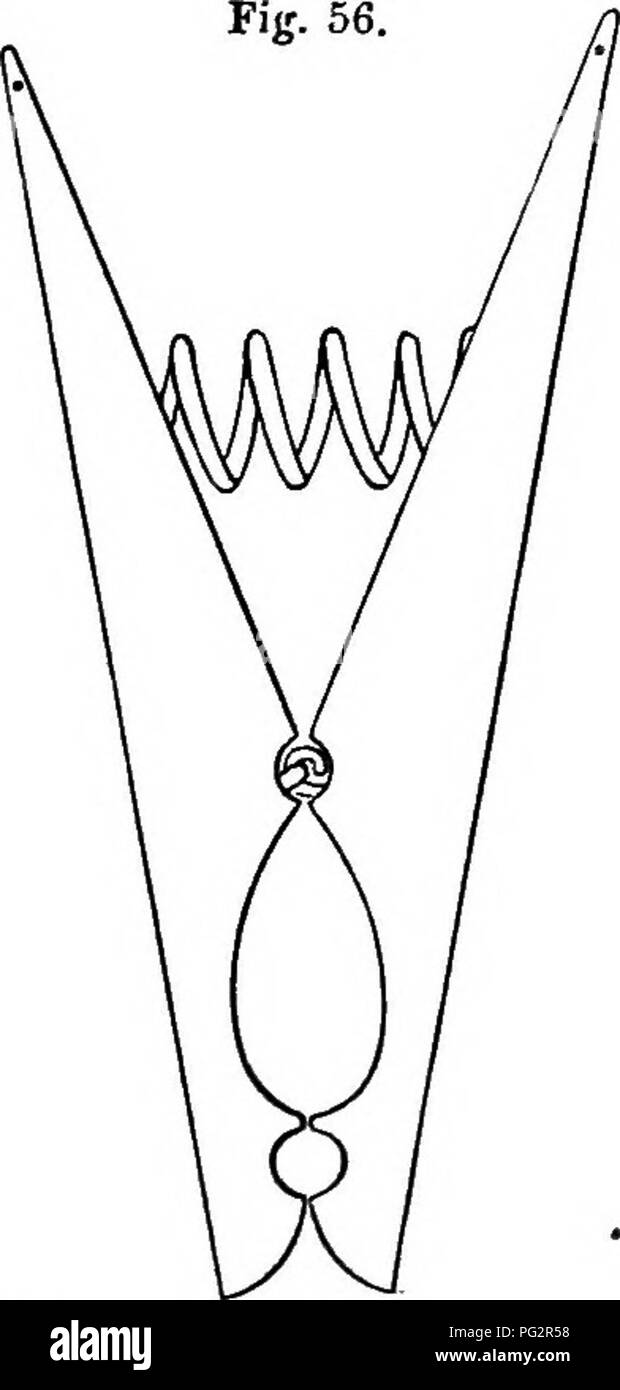 This study explores the movement of plant parts, specifically the ...