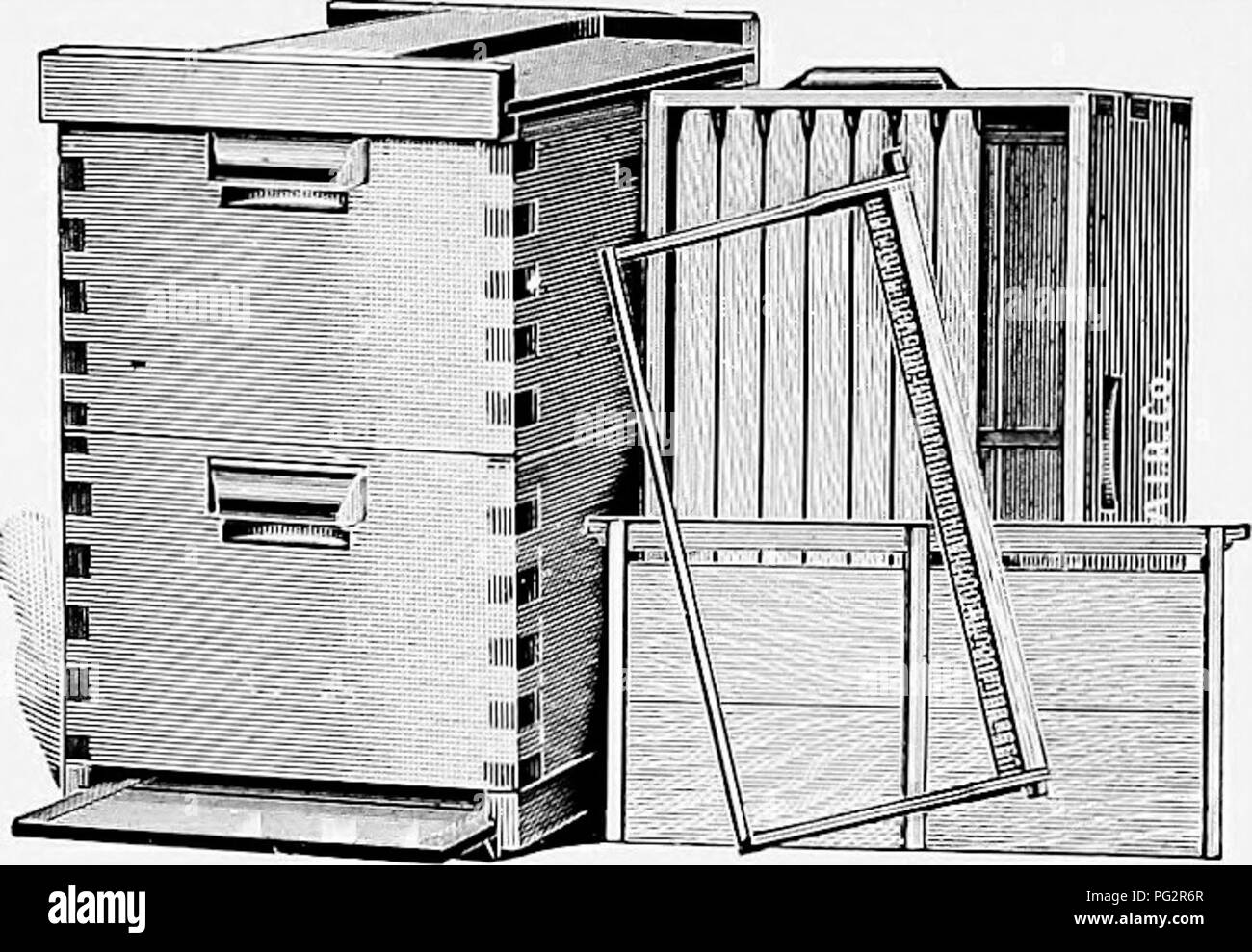 The Langstroth hive is the standard for honey extraction in beekeeping ...