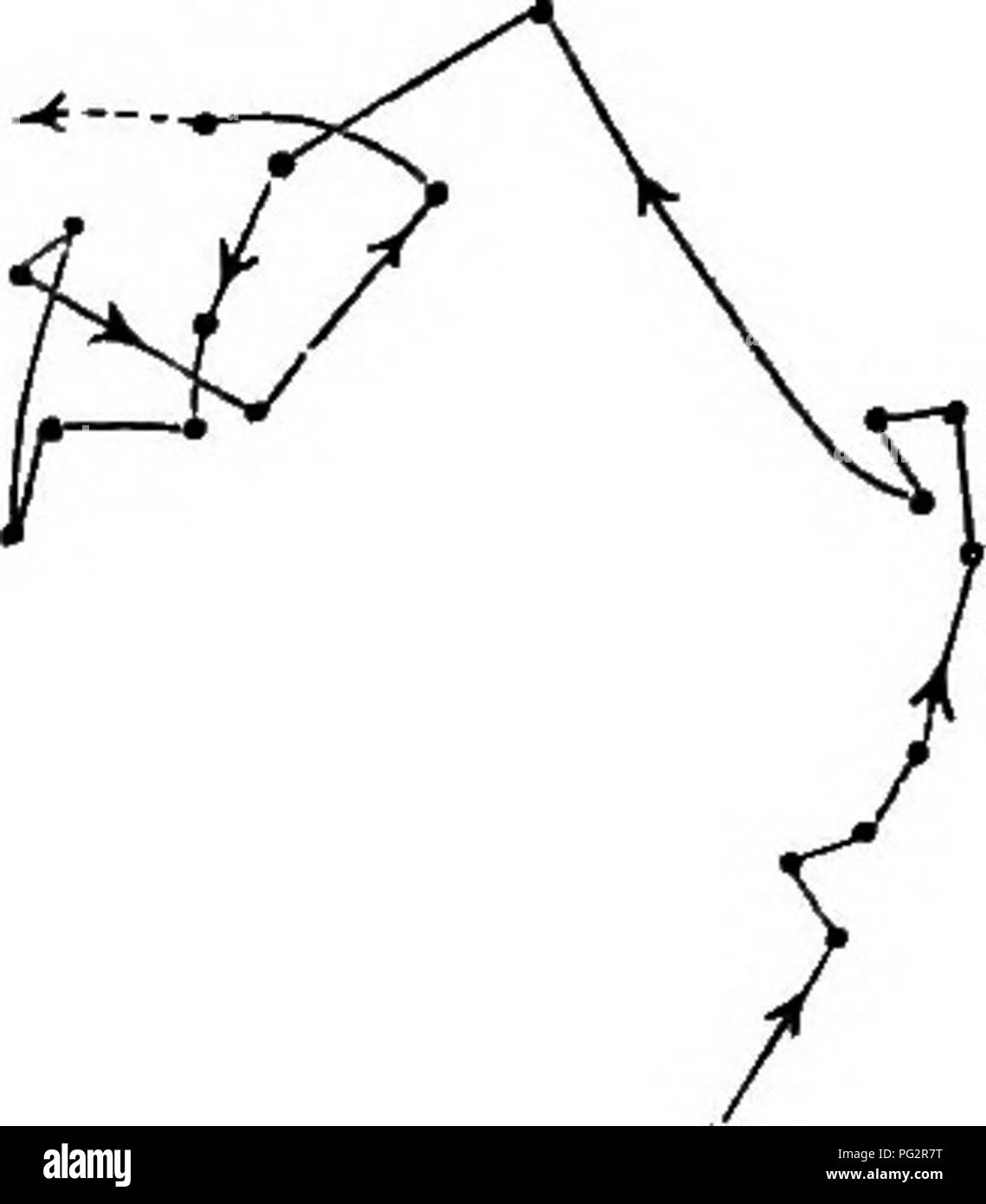 This study investigates plant movements, specifically those of Primula ...