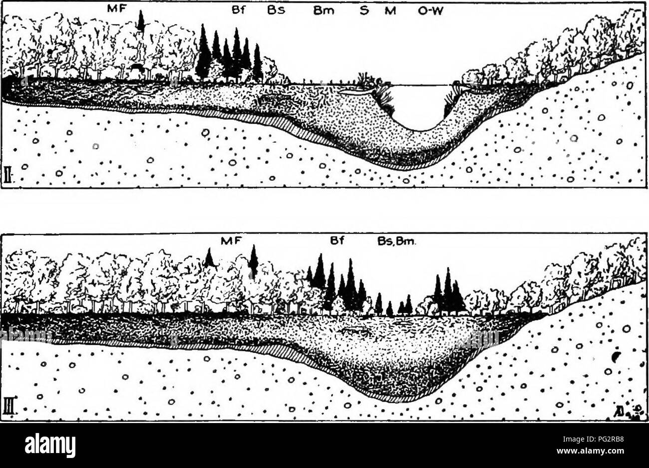Succession stages hi-res stock photography and images - Alamy