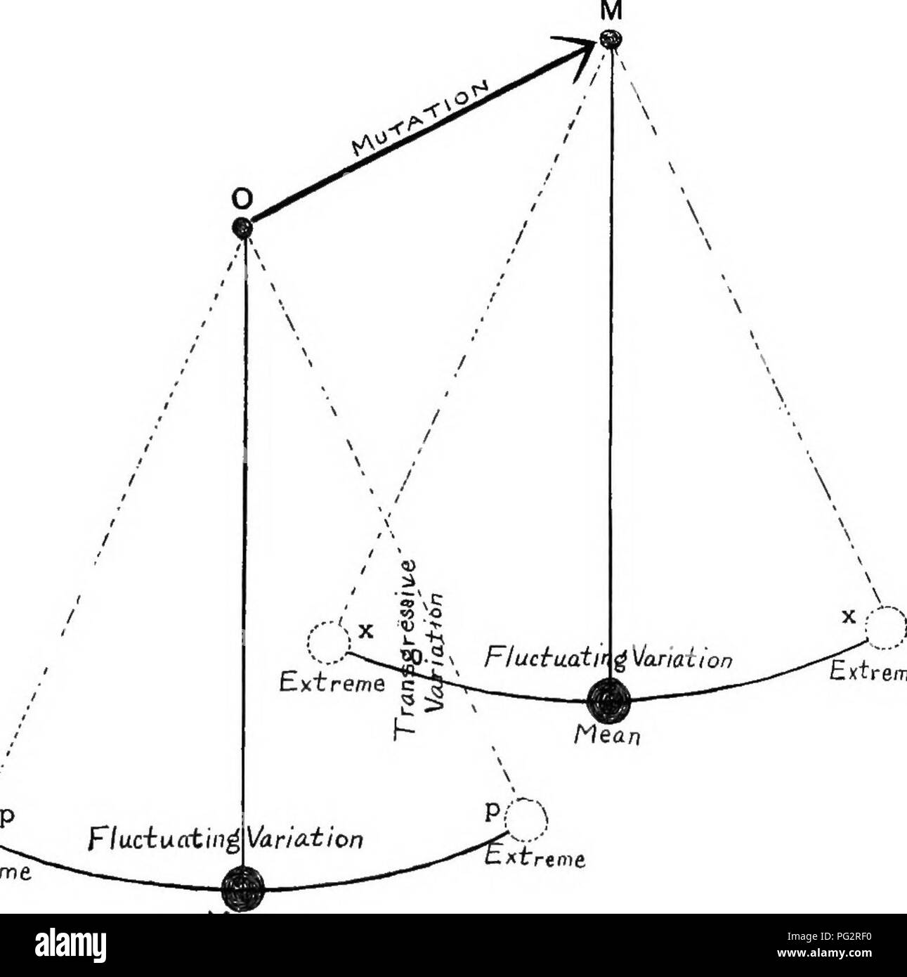 This study explores the role of heredity and mutations in plant ...