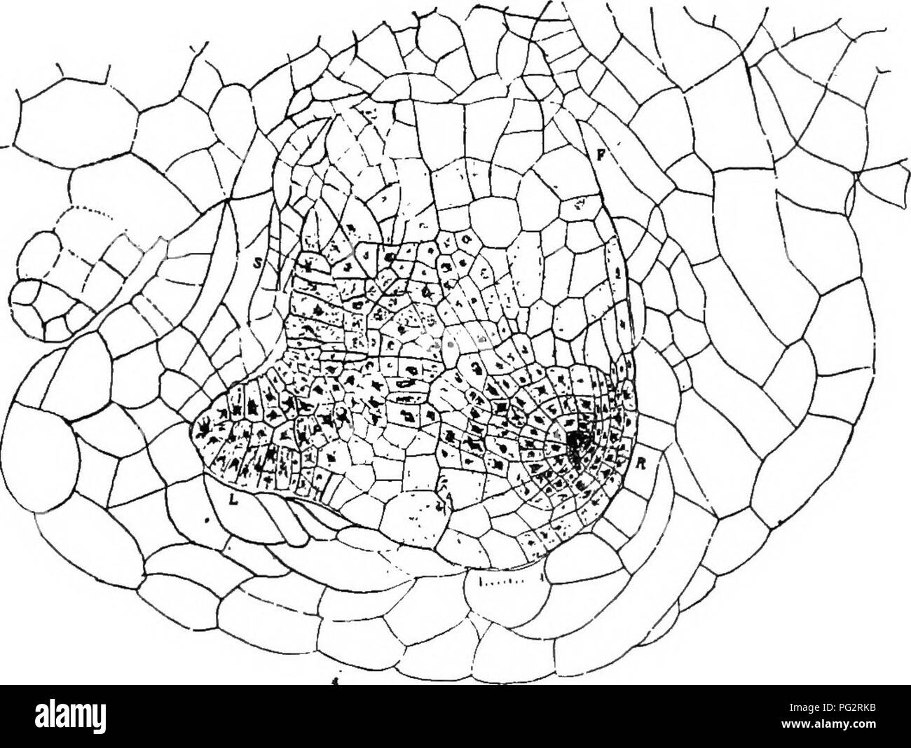 Un recognized Black and White Stock Photos & Images - Alamy