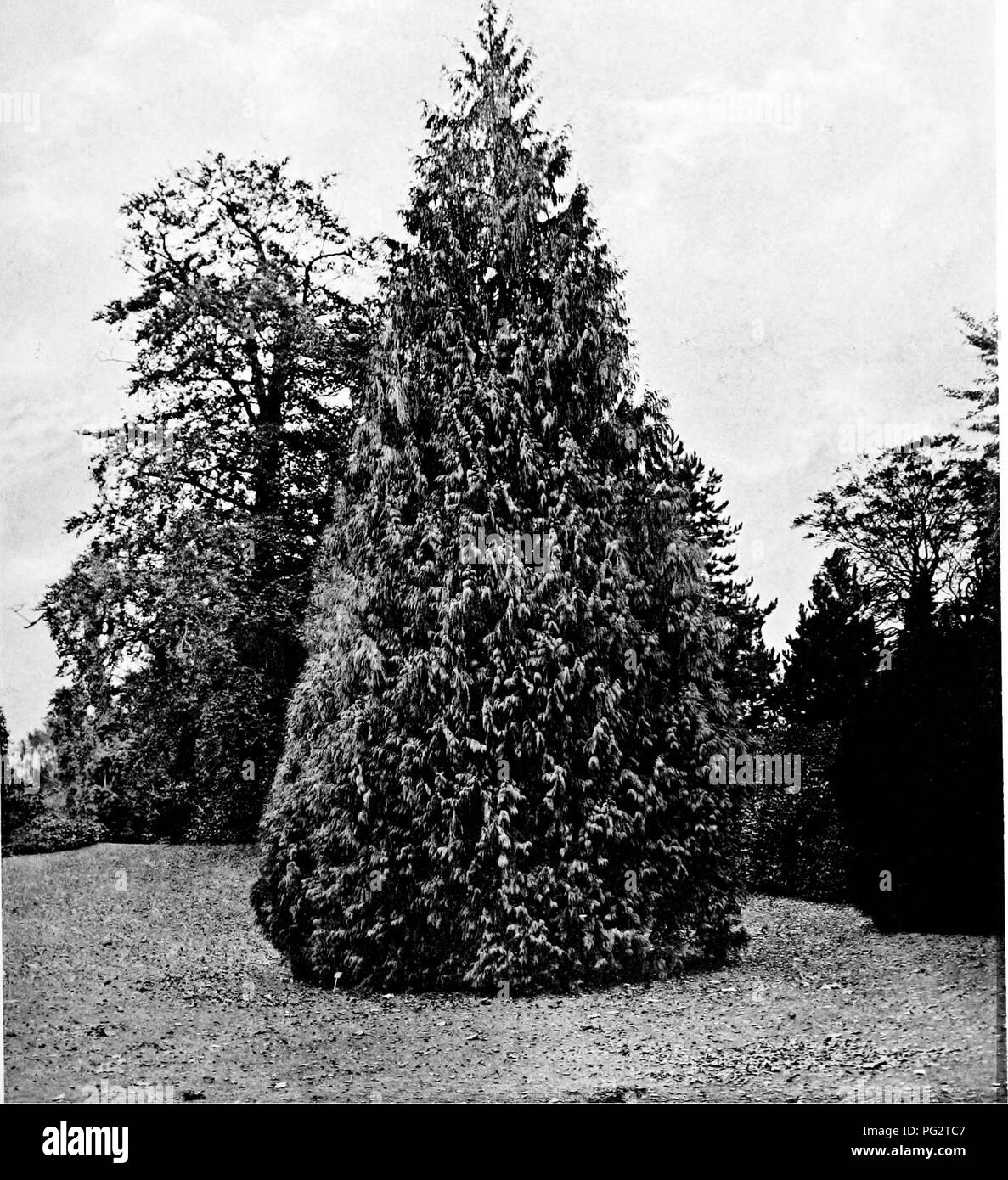 Scientific research in ireland Black and White Stock Photos & Images ...