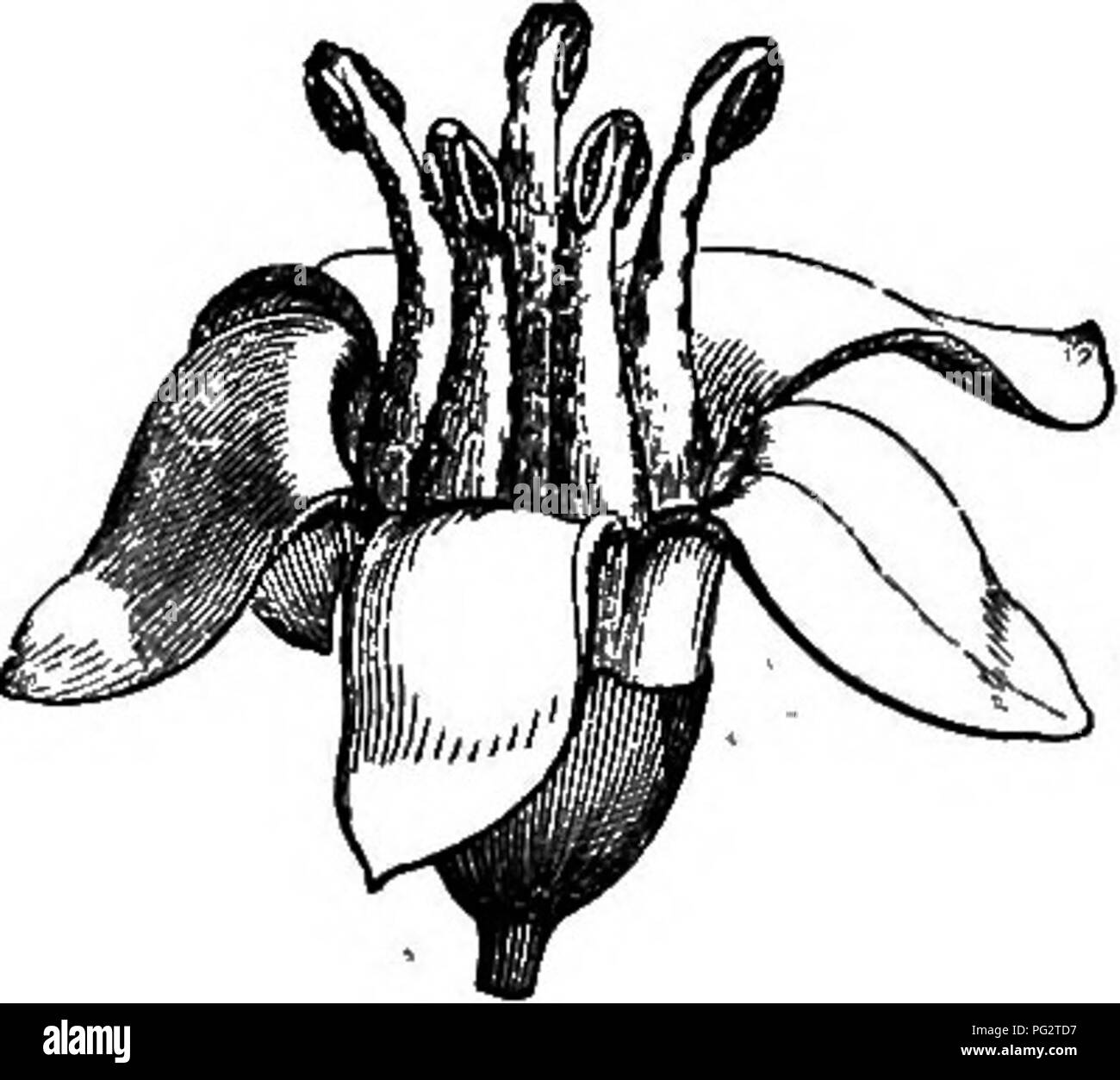 360 images Black and White Stock Photos & Images - Alamy