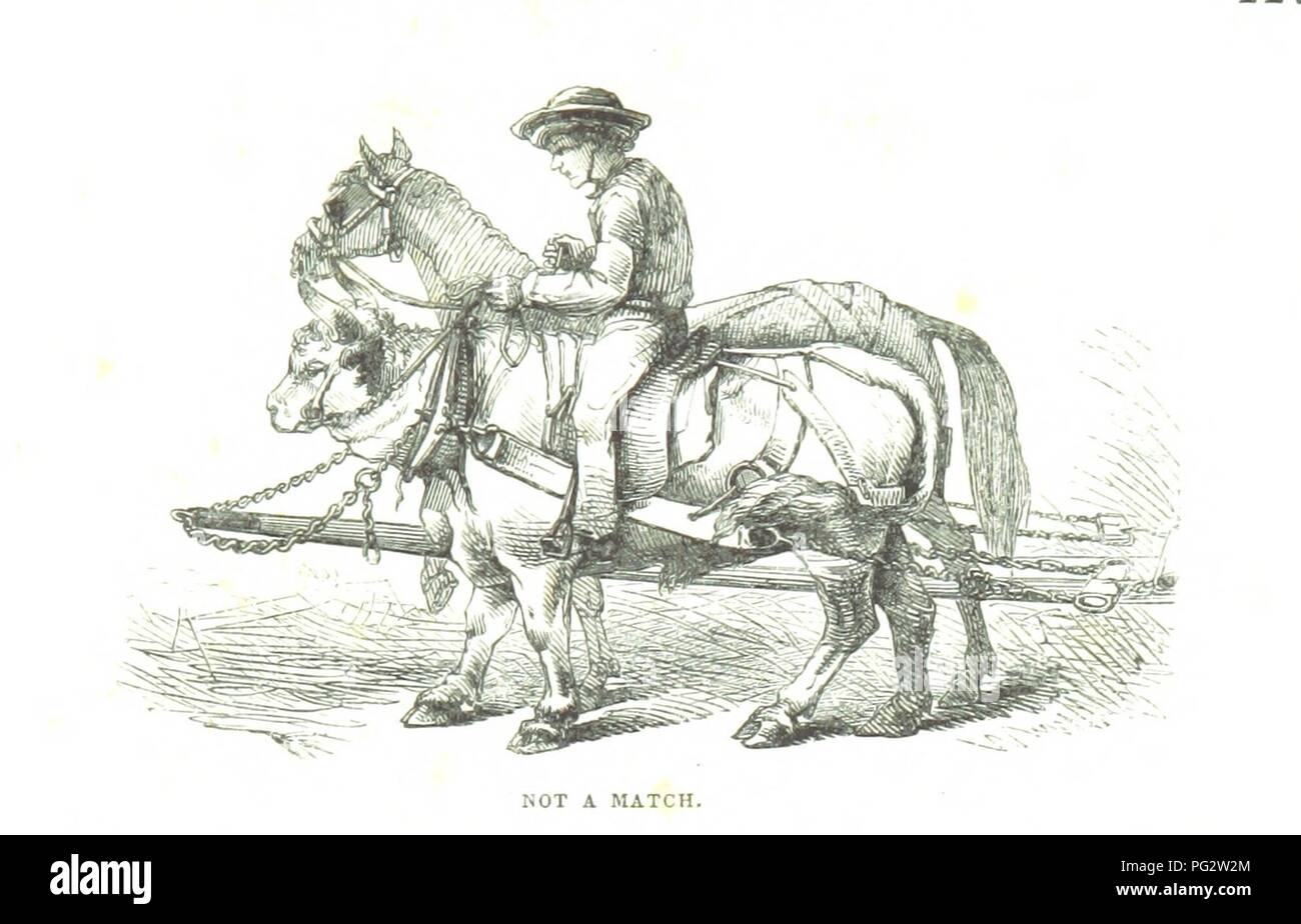 Image from page 235 of 'Virginia Illustrated containing A Visit to the ...