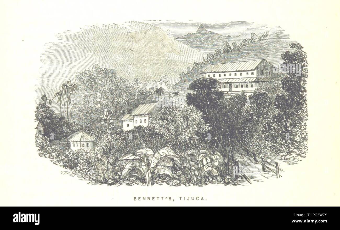 Image from page 240 of '[Brazil and the Brazilians ... in historical ...