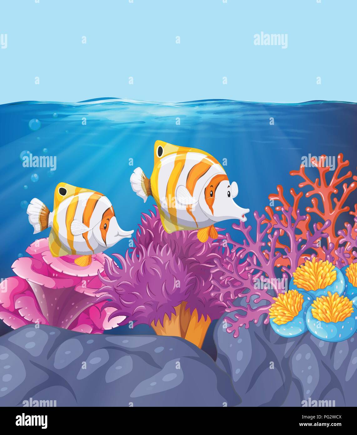 Two beautiful fish underwater illustration Stock Vector Image & Art - Alamy