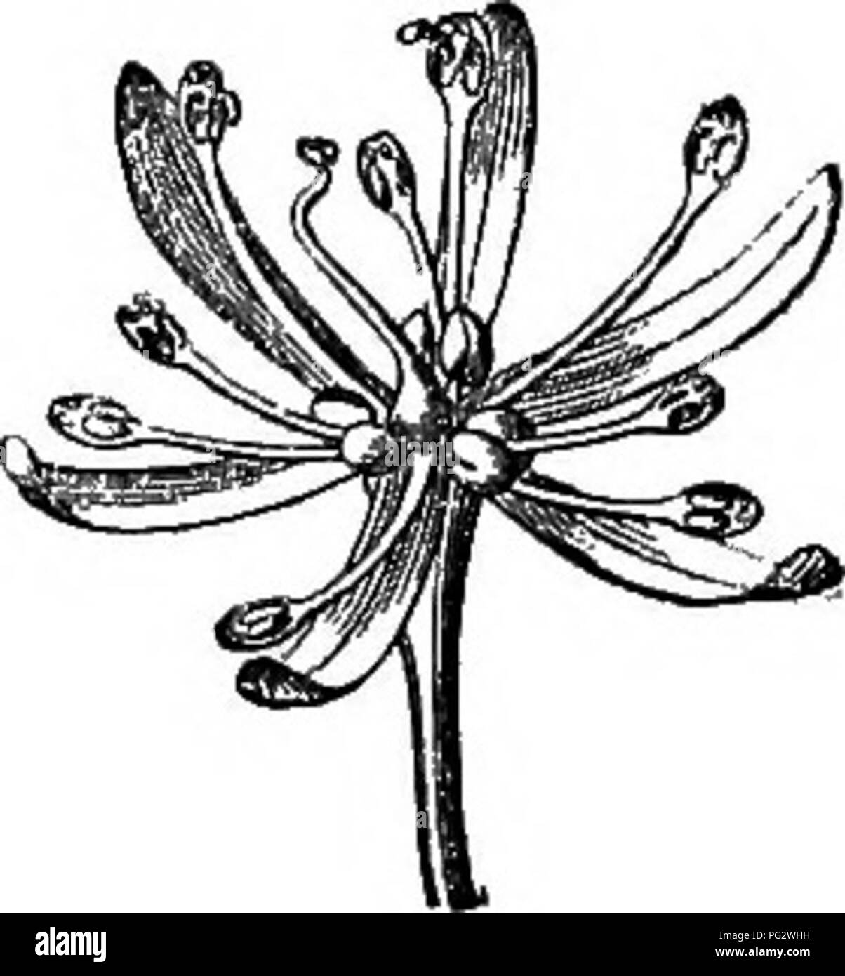 Nine divisions hi-res stock photography and images - Alamy