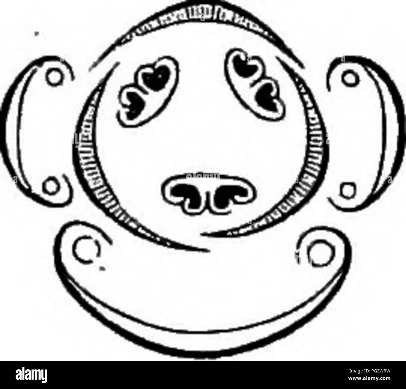 This botanical work by Henri Ernest Baillon and Marcus Manuel Hartog ...